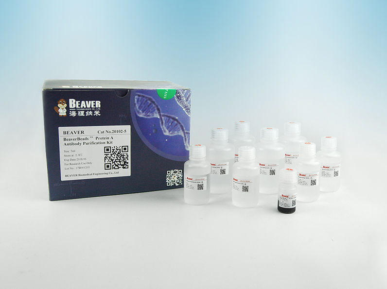 Solution reagent - BeaverBeads™ - BEAVER - antibody / polyclonal ...