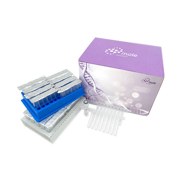 Nucleic acid reagent kit - P12002T2040 - Jiangsu Mole Bioscience - for ...