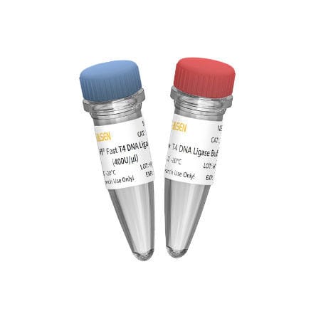 DNA ligase reagent - 10299ES series - Yeasen Biotechnology (Shanghai ...