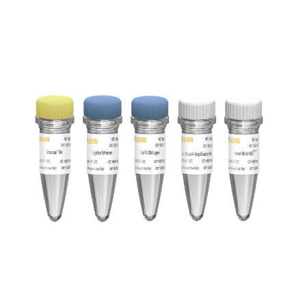 DNA library preparation reagent kit - Hieff NGS™ OnePot II - Yeasen ...