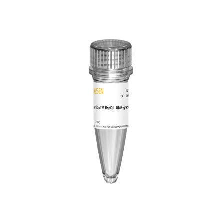 Enzyme reagent - 10664ES series - Yeasen Biotechnology (Shanghai) Co ...