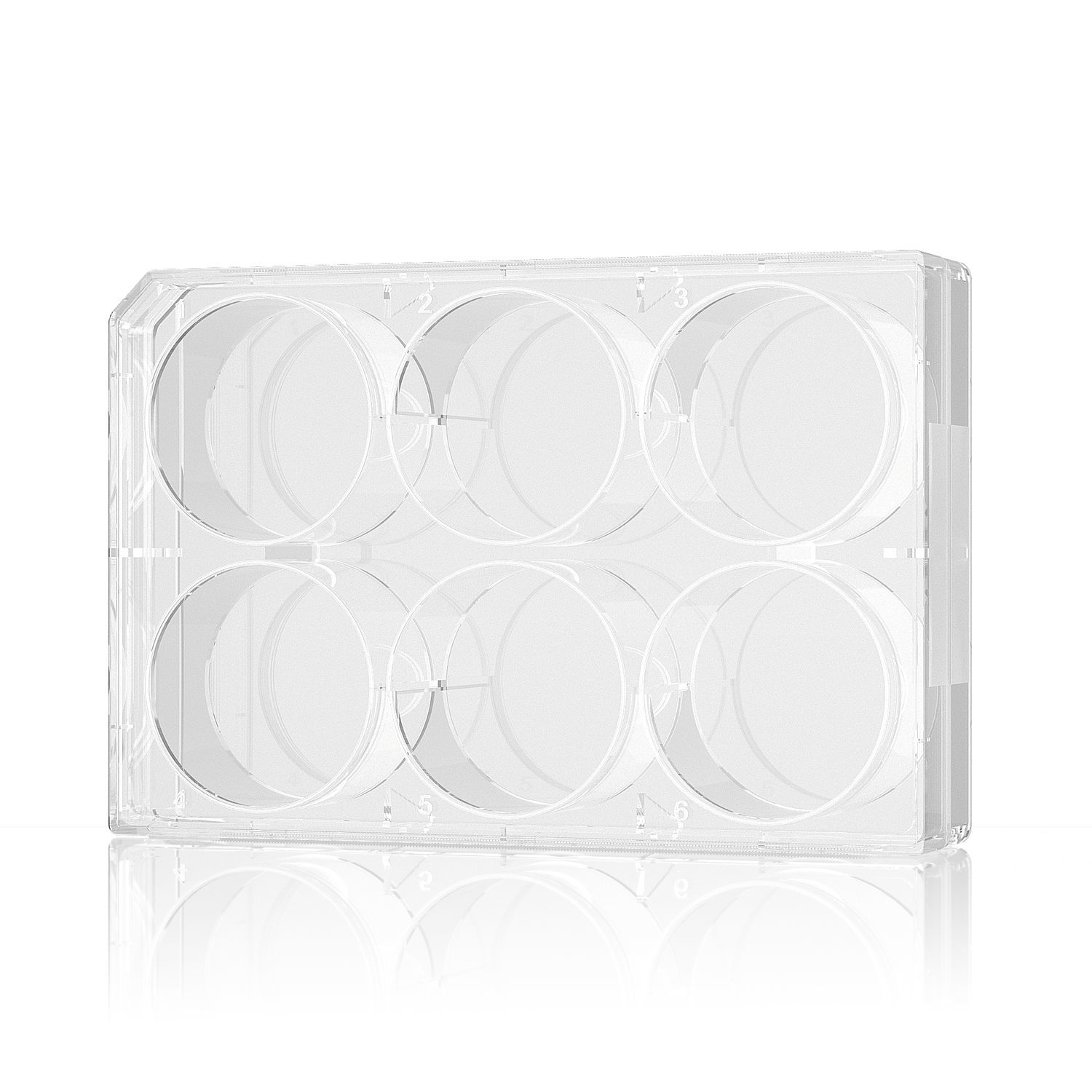 Cell culture microplate - CCP01006-B - Vazyme - laboratory / 96-well ...
