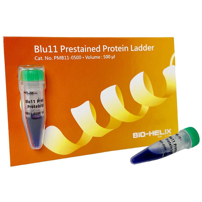 Protein ladder - Blu11 - Bio-Helix - for Western blot / urea / pH