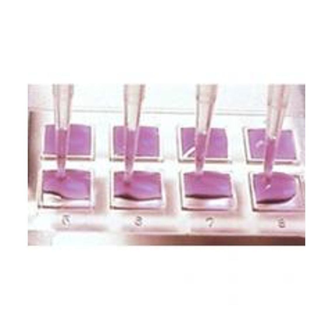 PCR microarray plate - Chipron Meat 5.0 - Pacific Image Electronics Co ...