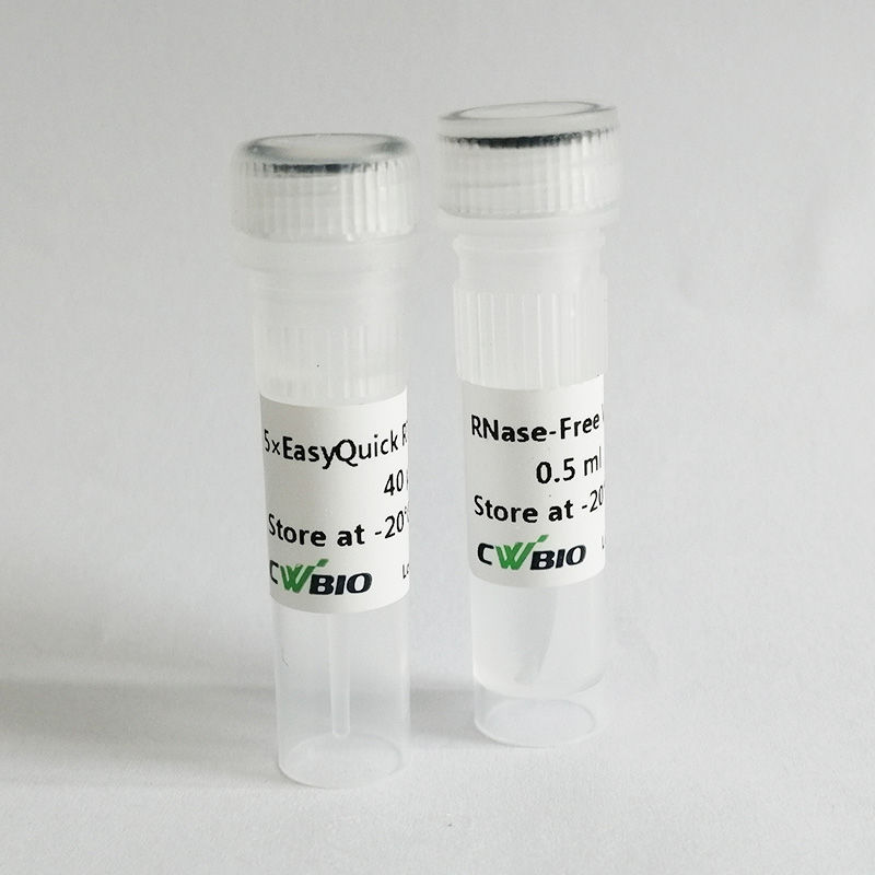 Reverse transcriptase reagent kit - EasyQuick RT - Jiangsu CoWin ...
