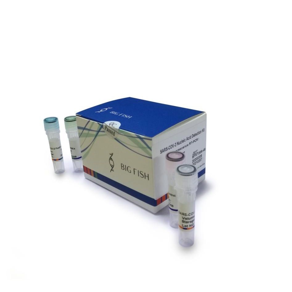 COVID-19 test kit - BFRT06M series - Hangzhou Bigfish Bio-tech Co., Ltd ...