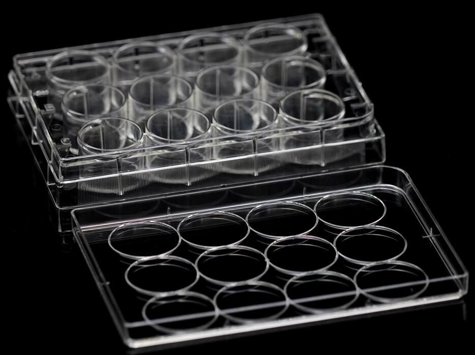 Laboratory microplate - MGN-C07 - MyGenostics Inc. - tissue culture / cell