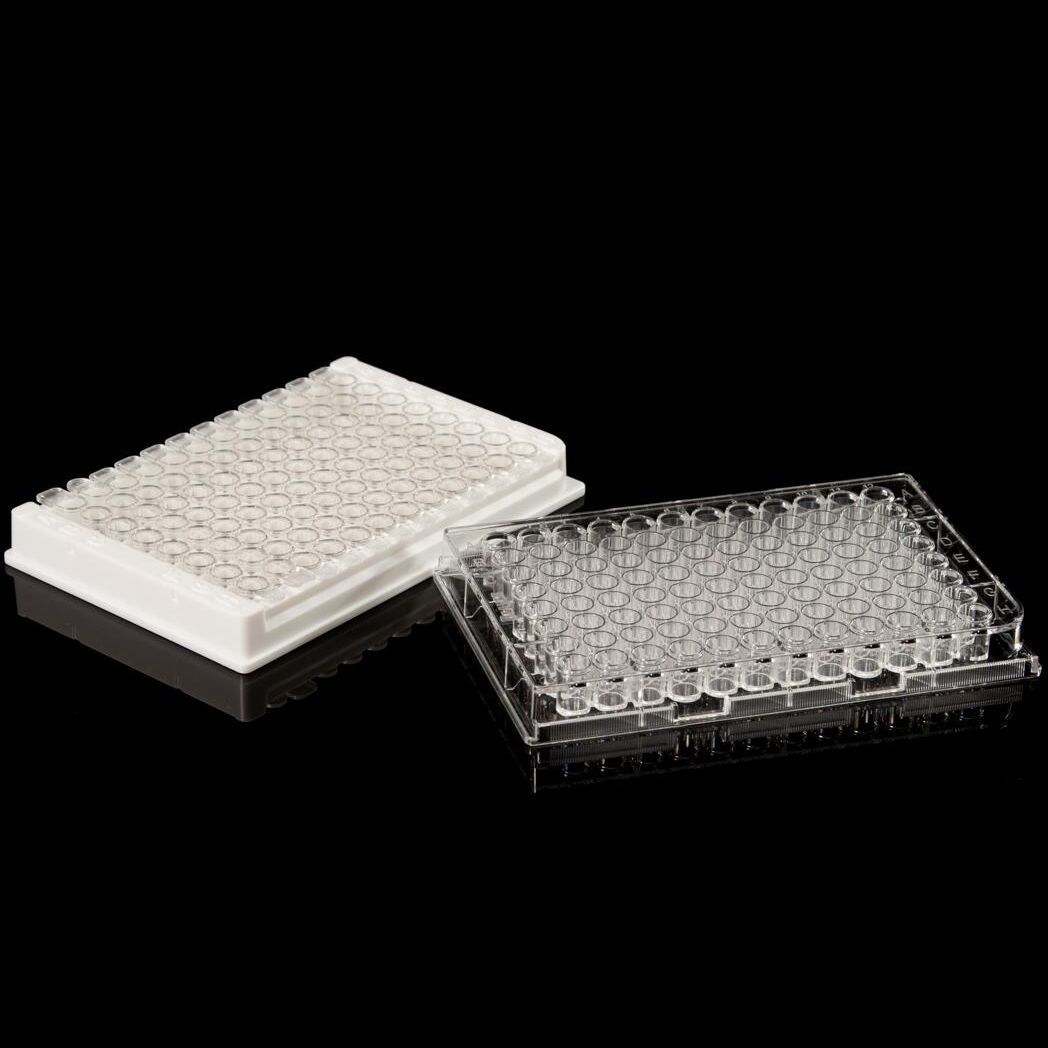 ELISA microplate - MGN-C09 - MyGenostics Inc. - laboratory