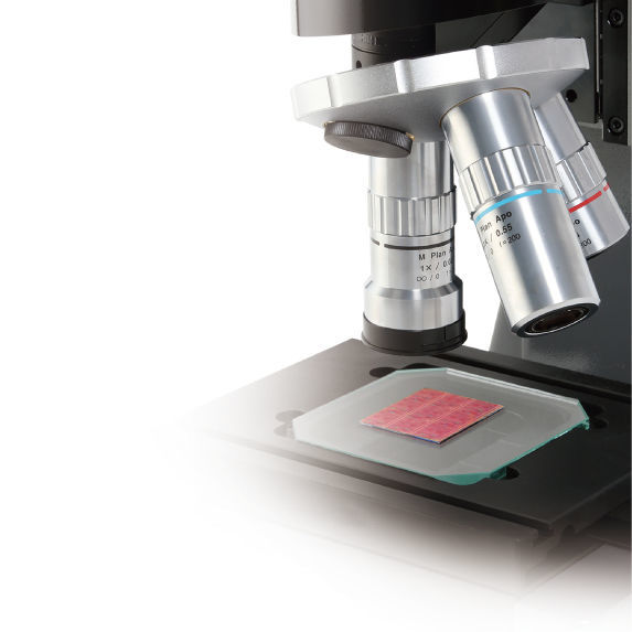 Thickness tester - SK-iFTM - SHASHIN KAGAKU CO.,LTD. - medical imaging ...