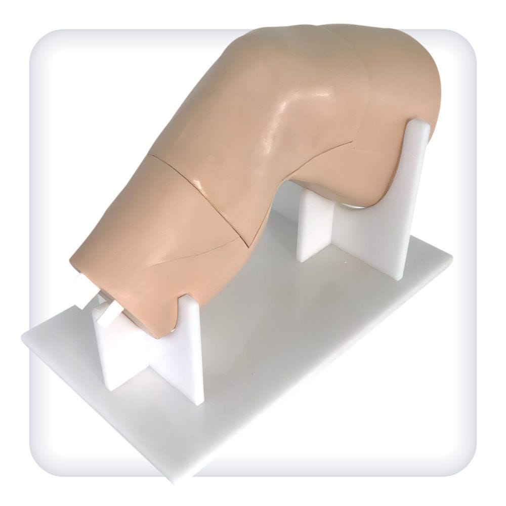 Joint model - M1110 - SATC solution - knee / lower limb / surgery