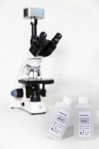 Staining solution reagent kit - BIOMED-Labordiagnostik GmbH ...