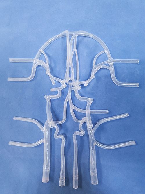 Intracranial anatomical model - SJ-003D - Trando 3D Medical Technology ...