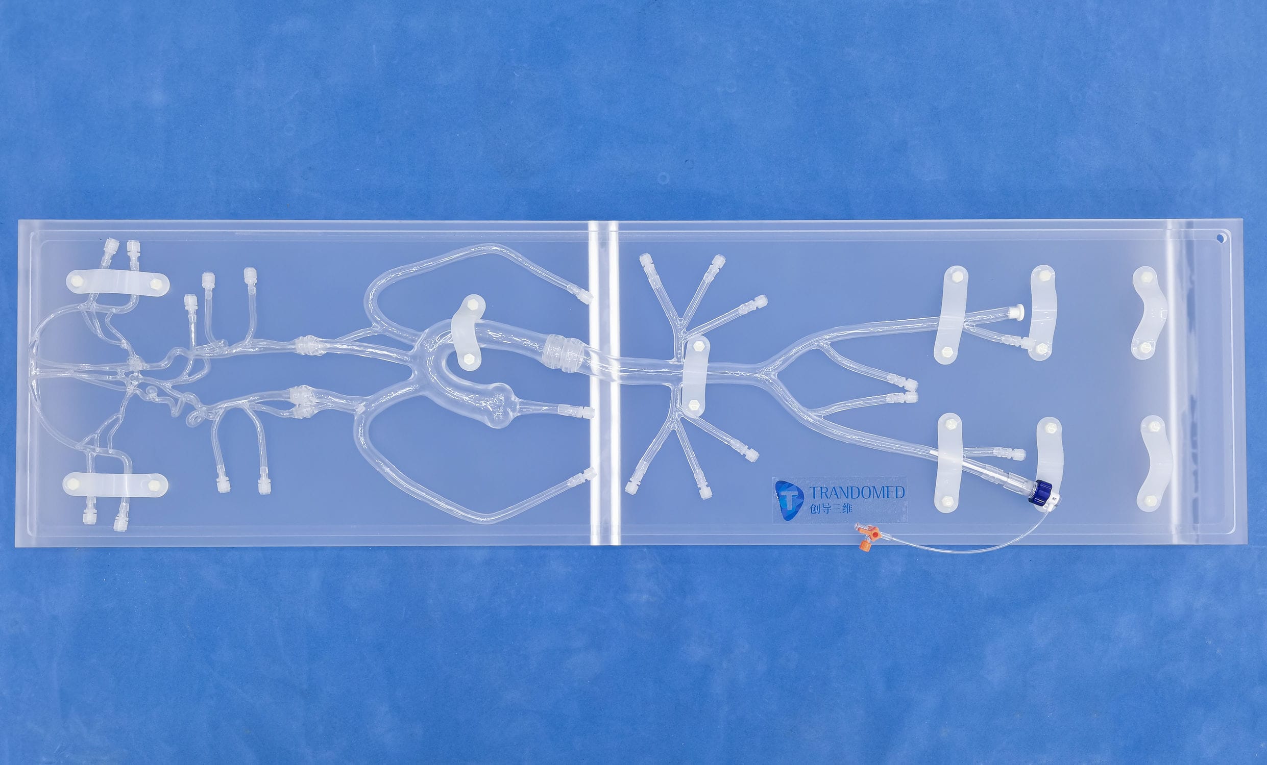 Neurosurgery vascular model - SJ001D-01 - Trando 3D Medical Technology ...