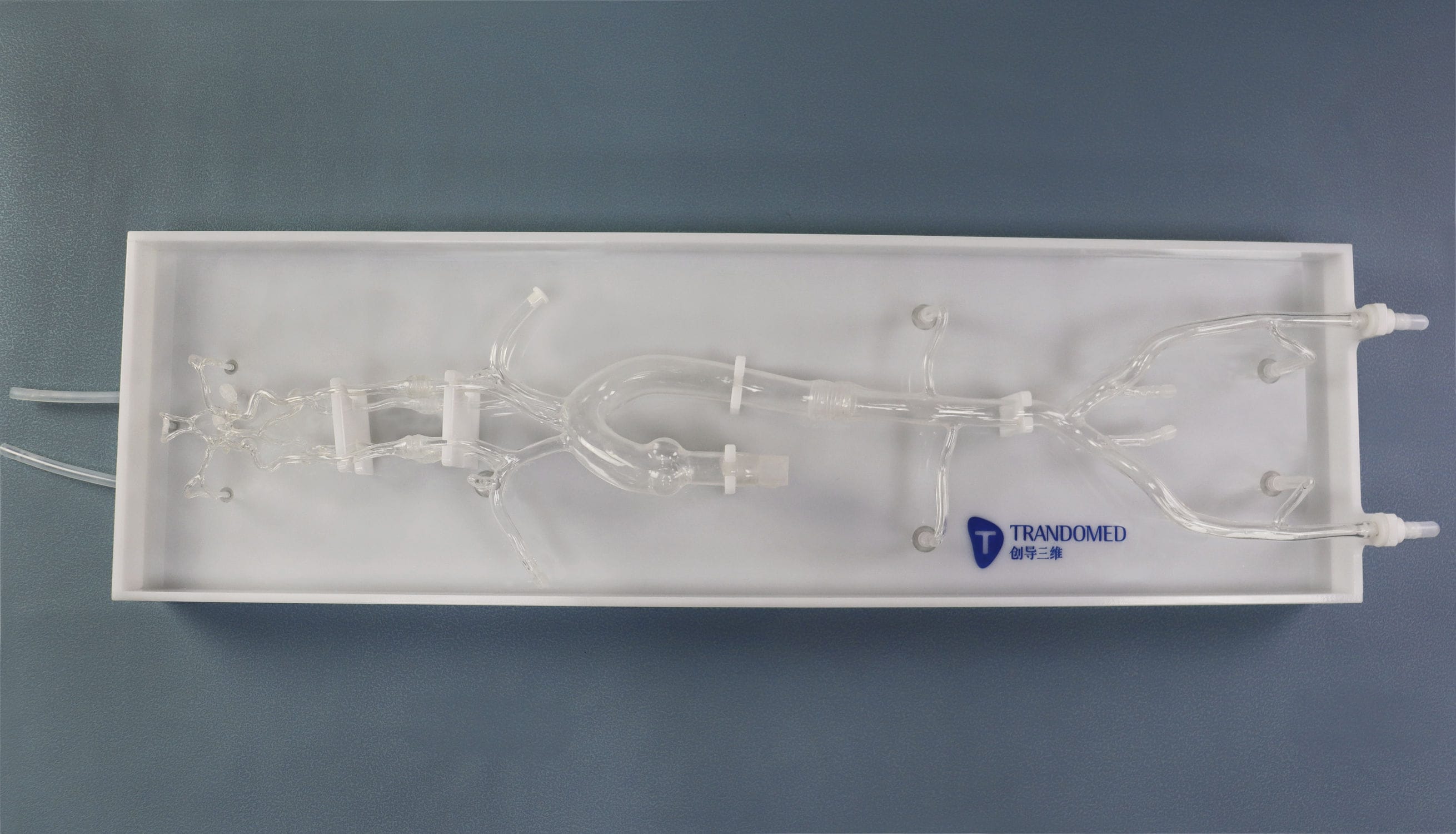 Intracranial vascular model - SJX010-1 - Trando 3D Medical Technology ...
