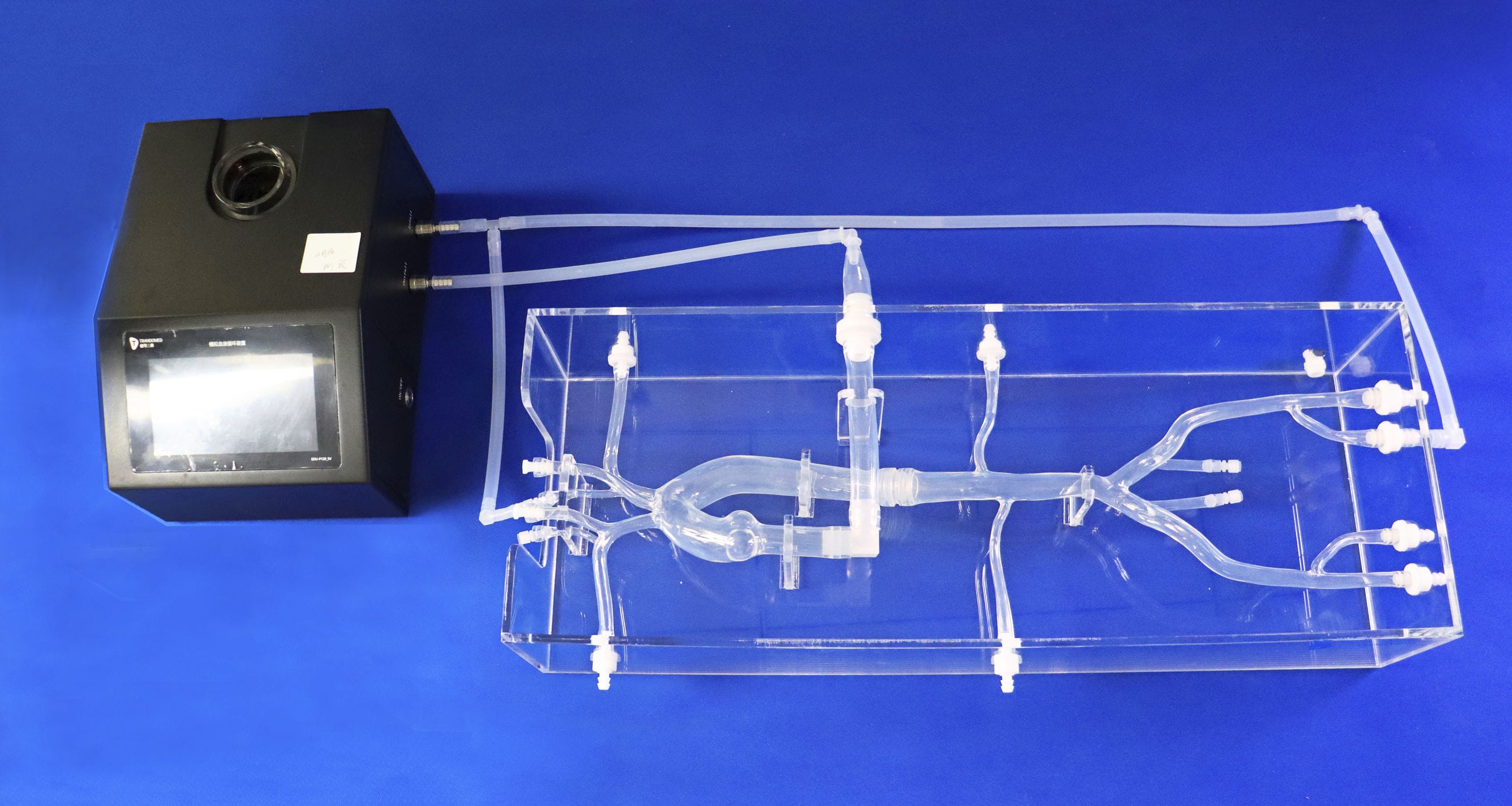 Cardiac vascular model - XXD023 - Trando 3D Medical Technology - blood ...