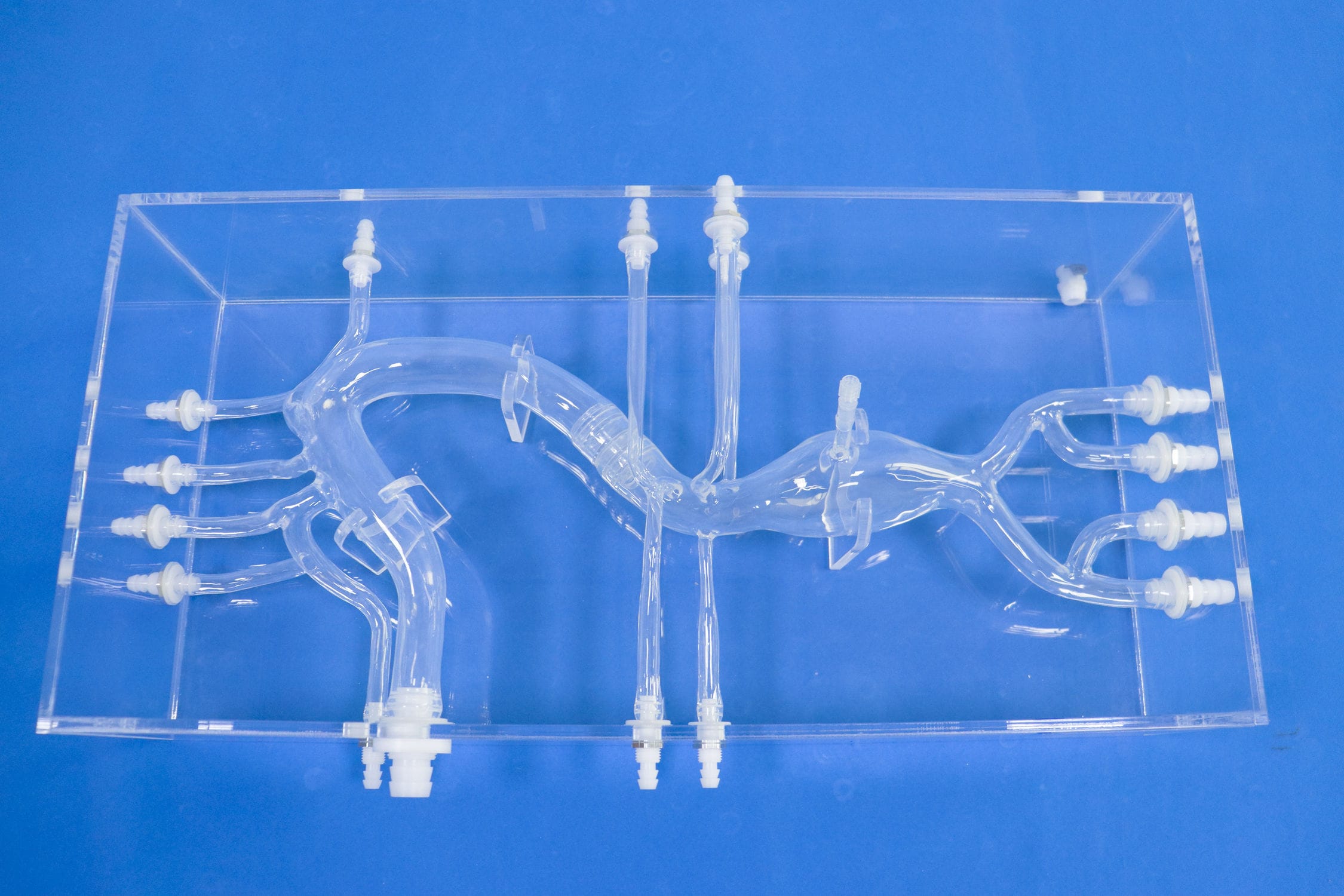 Artery model - XXK002D - Trando 3D Medical Technology - femoral artery ...