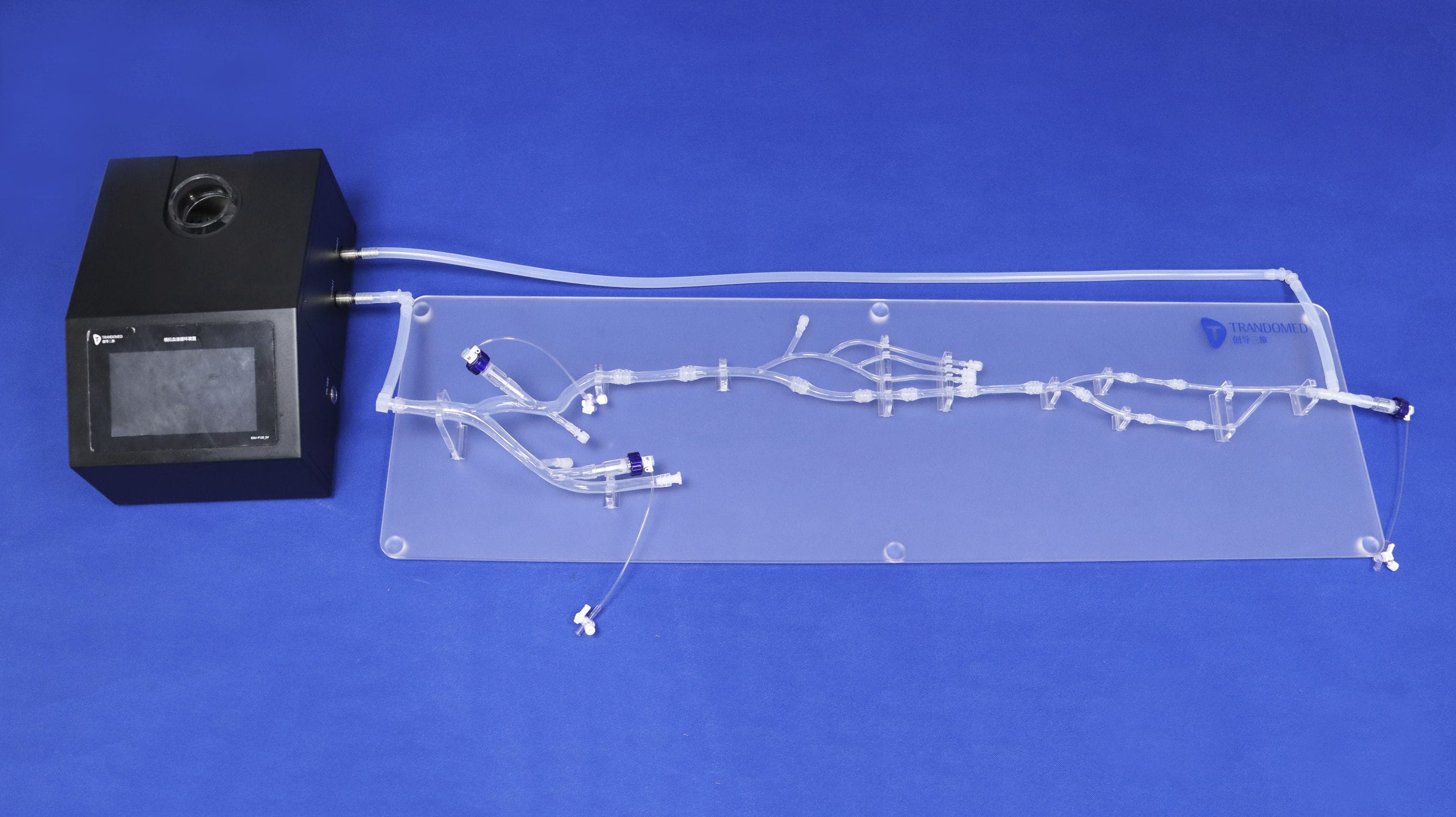 Lower limb model - XXD003 - Trando 3D Medical Technology - for mini ...