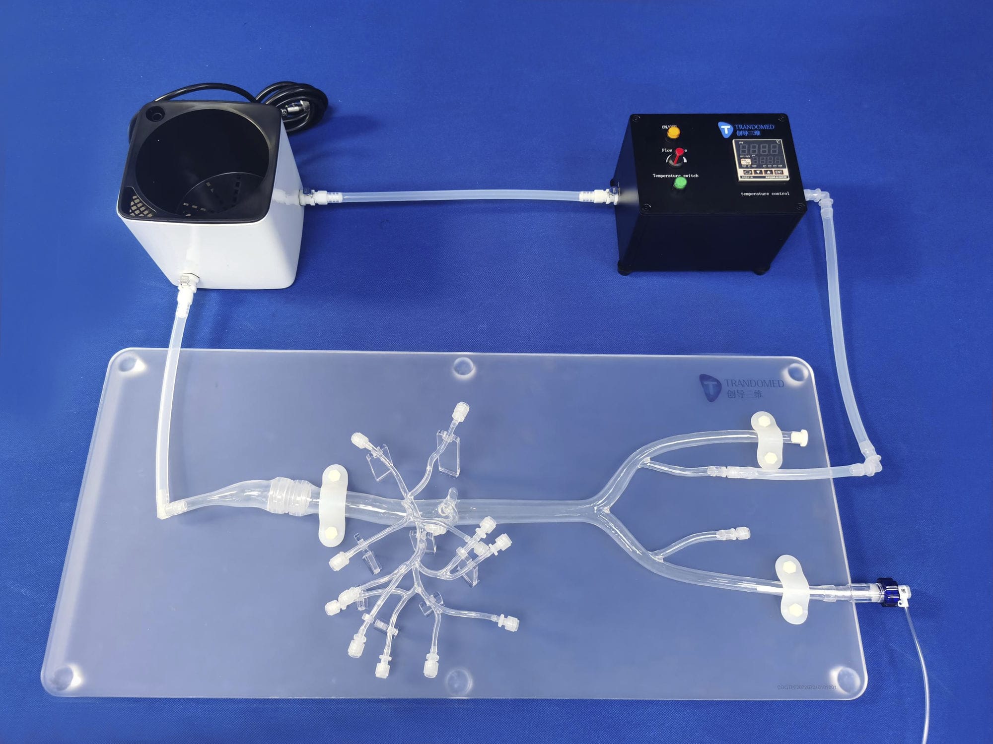 Artery model - FBD018 - Trando 3D Medical Technology - abdominal / for ...