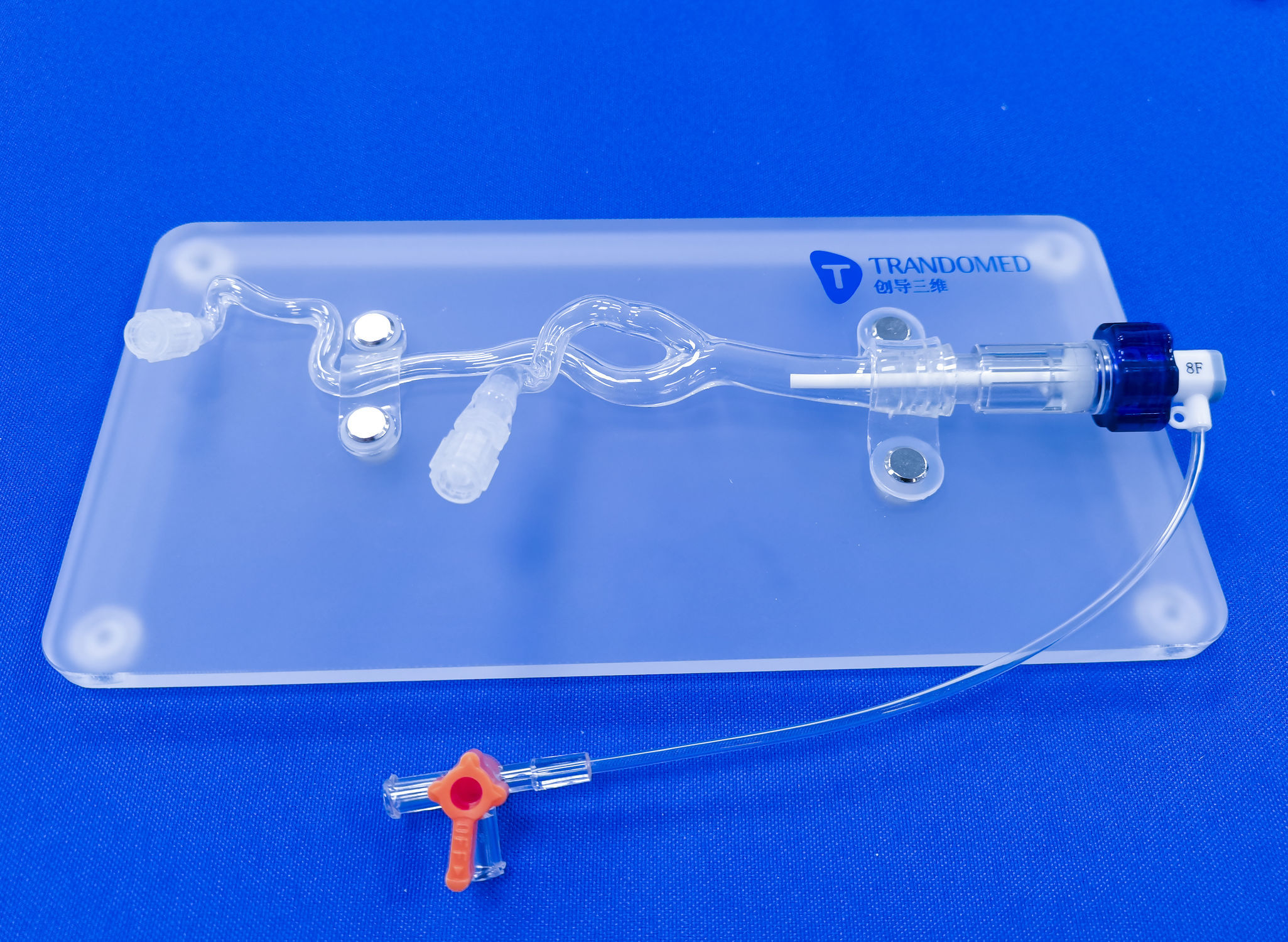 Blood vessels vascular model - SDL004-1 - Trando 3D Medical Technology ...