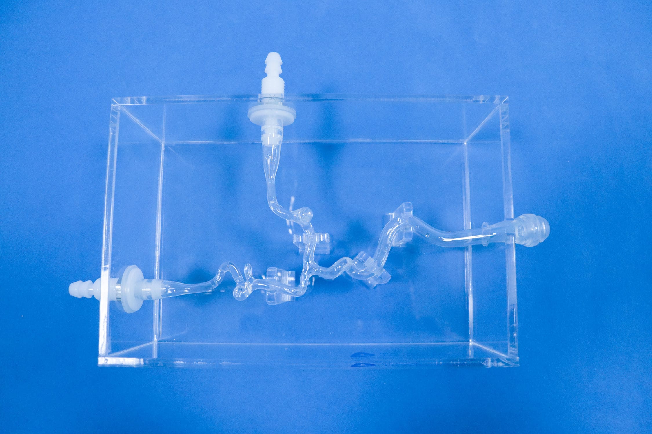 Blood vessels vascular model - SDL002 - Trando 3D Medical Technology ...