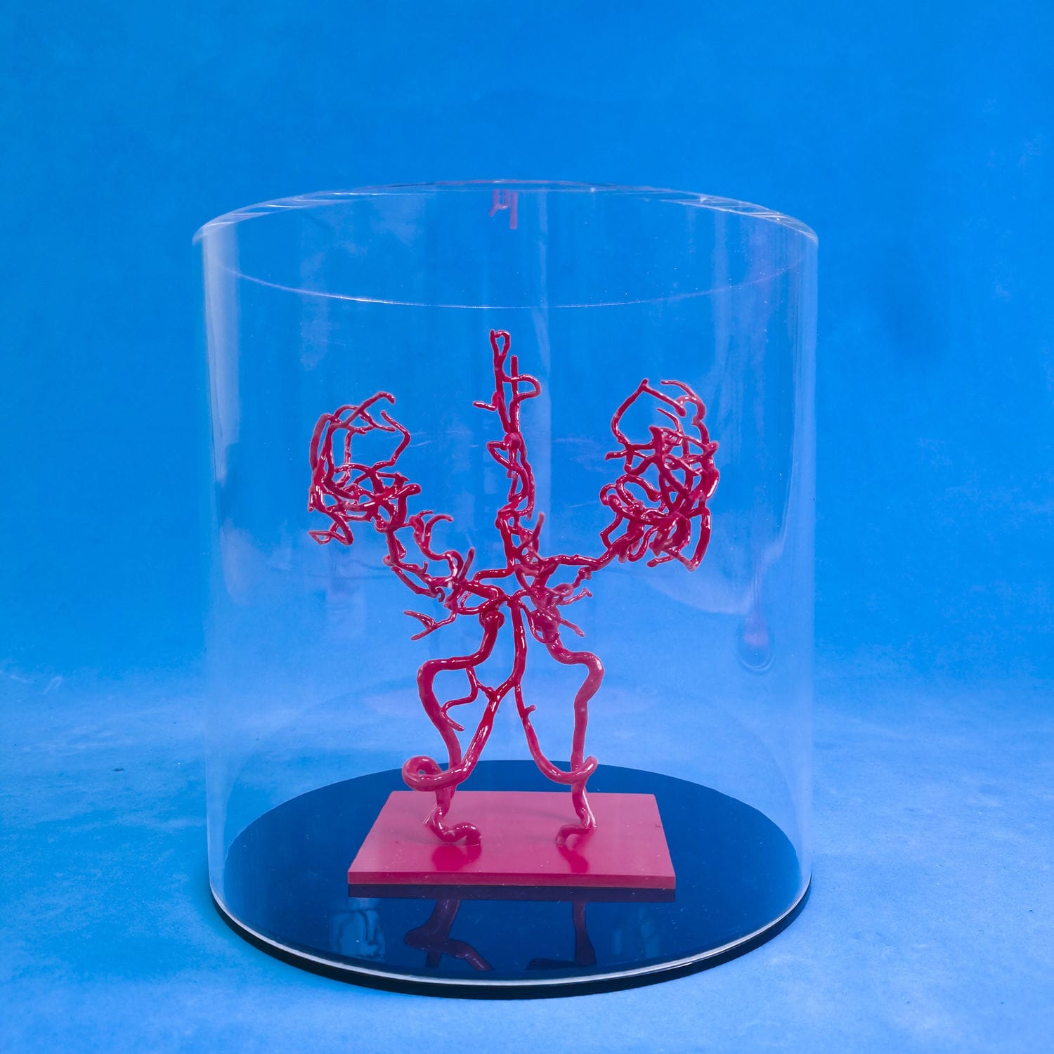 Cerebral vascular model - YZ002 - Trando 3D Medical Technology ...