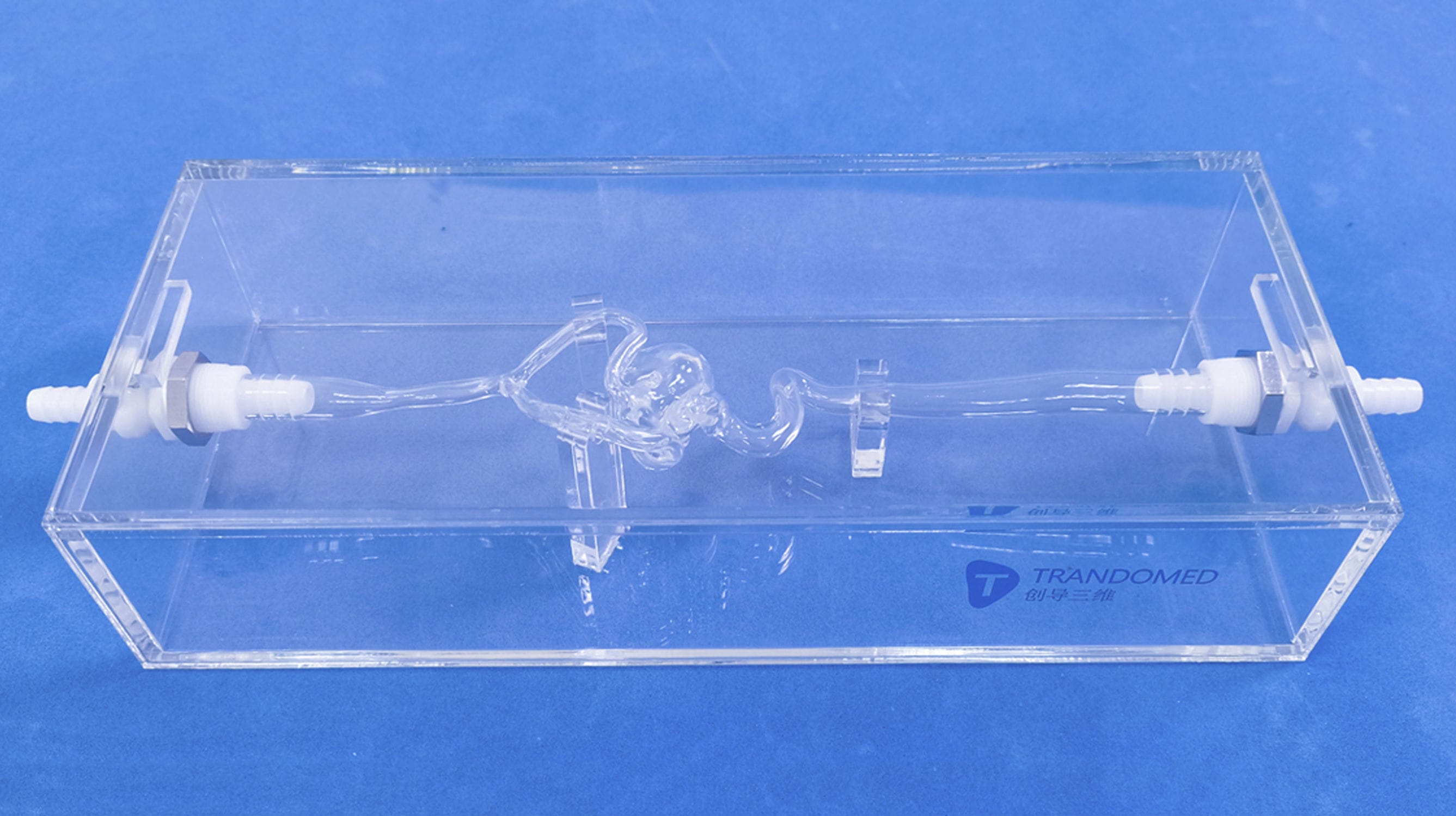 Blood vessels vascular model - SJK003D - Trando 3D Medical Technology ...