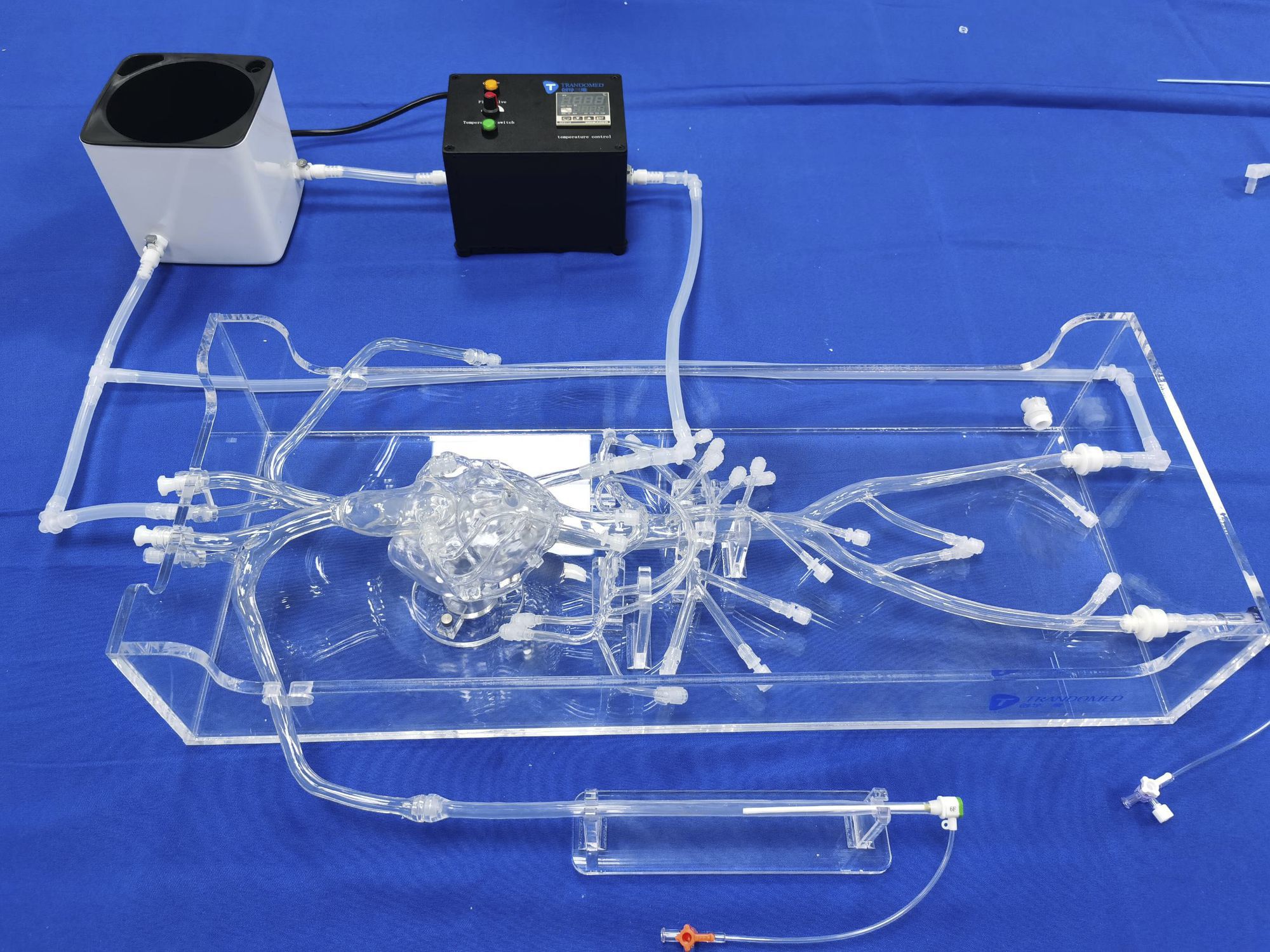 Coronary arteries vascular model - XXD002 - Trando 3D Medical ...