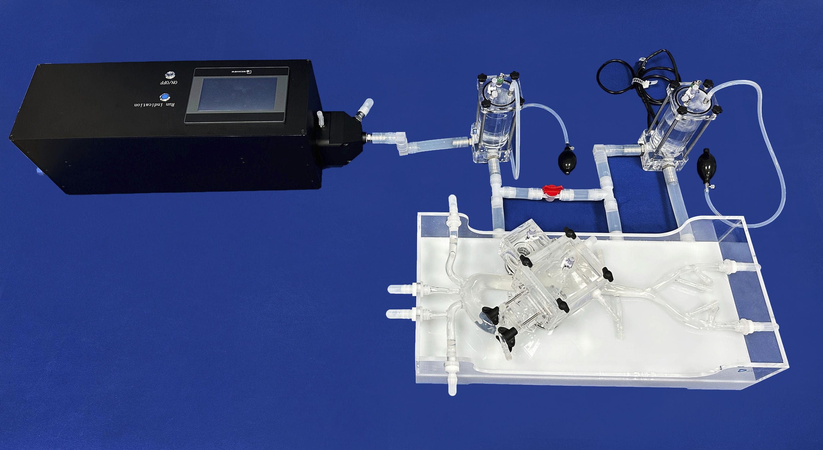 Cardiac anatomical model - XXK005D - Trando 3D Medical Technology ...