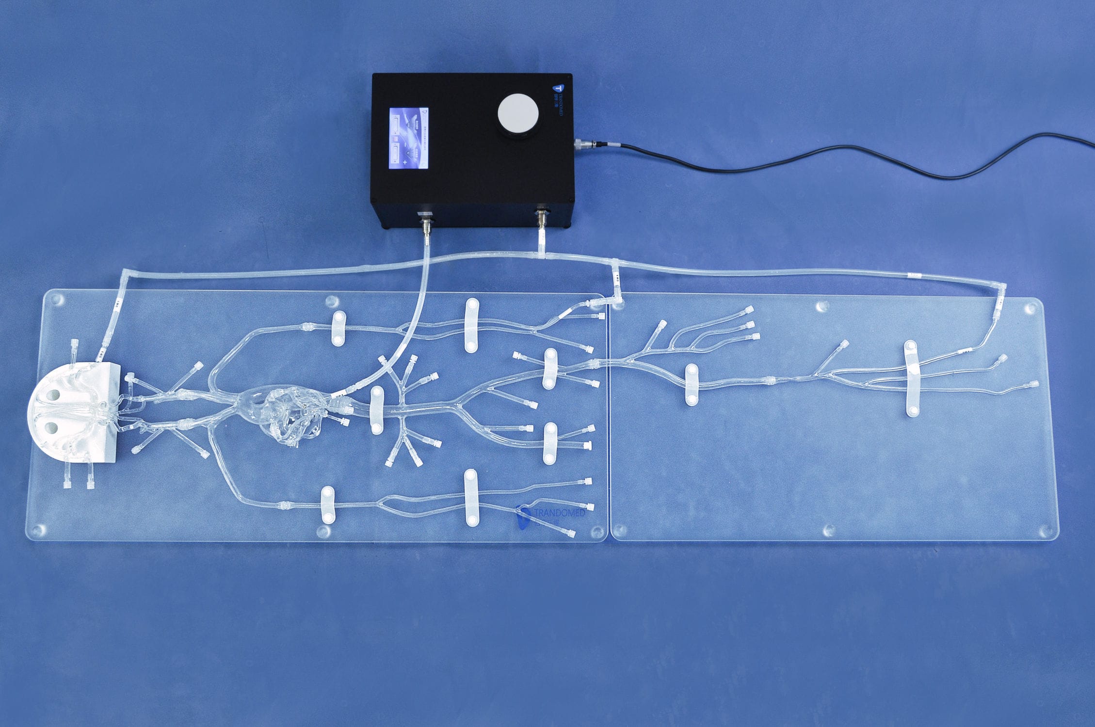Vascular access vascular model - FA004D - Trando 3D Medical Technology ...