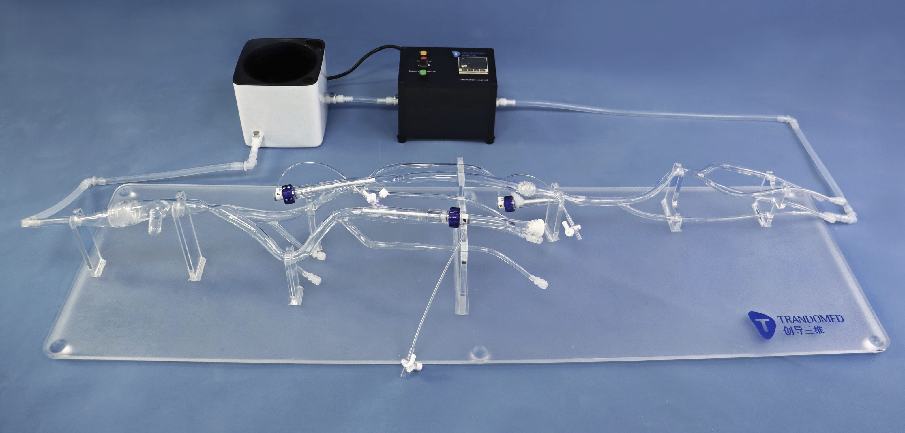 Artery model - XZJ003 - Trando 3D Medical Technology - vena cava / vein ...