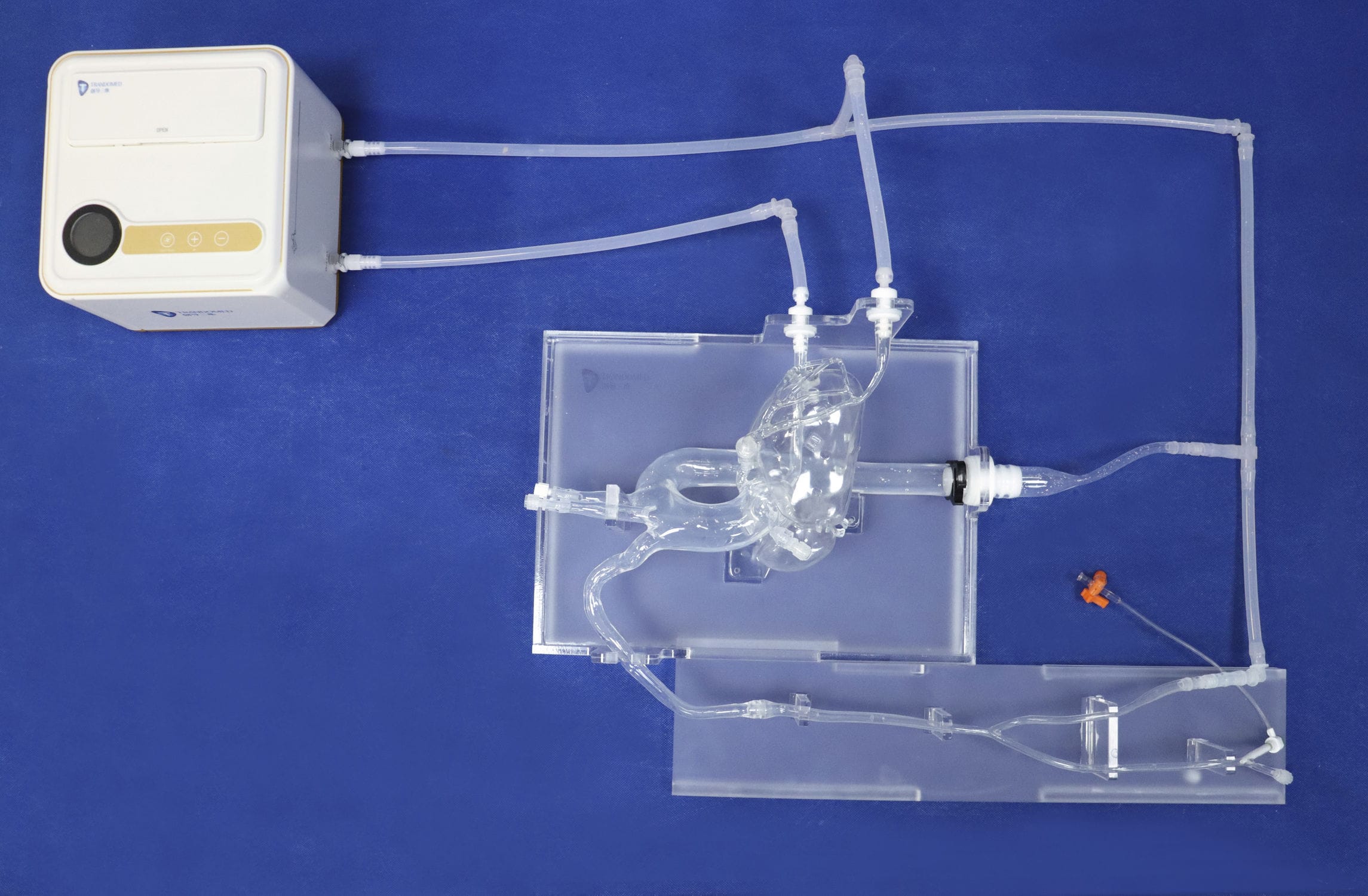 Coronary arteries vascular model - XXD003-01 - Trando 3D Medical ...