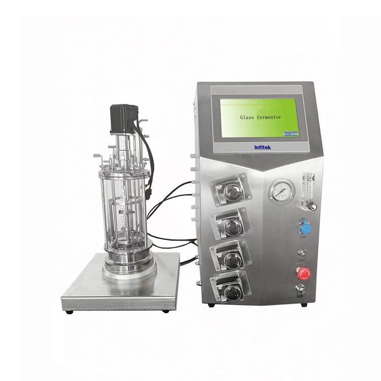 Microbial fermentation bioreactor - GF-J series - Infitek - screening