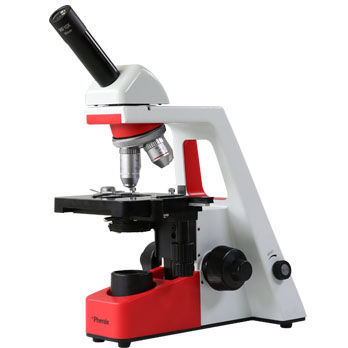 Optical microscope - H200 - Phenix Optics Co., Ltd. - digital ...