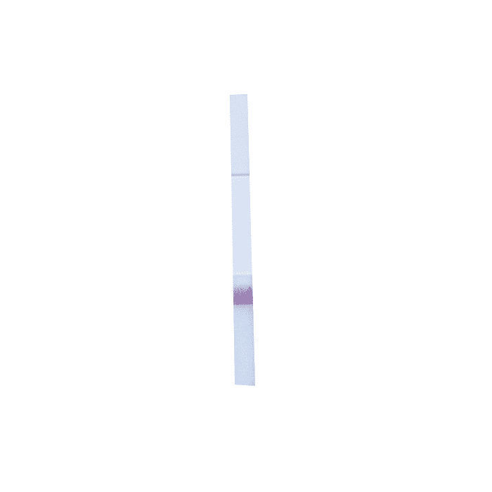 Lateral flow test strip - Hangzhou Immuno Biotech Co., Ltd - COVID-19 ...