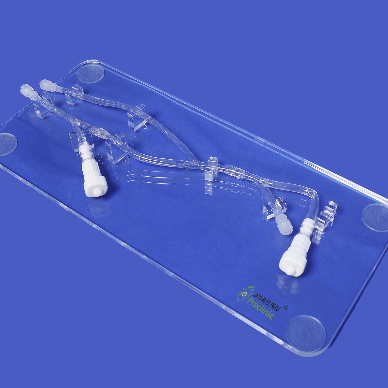 Radial artery vascular model - PLWZXG001 - Shanghai Preclinic Medtech ...