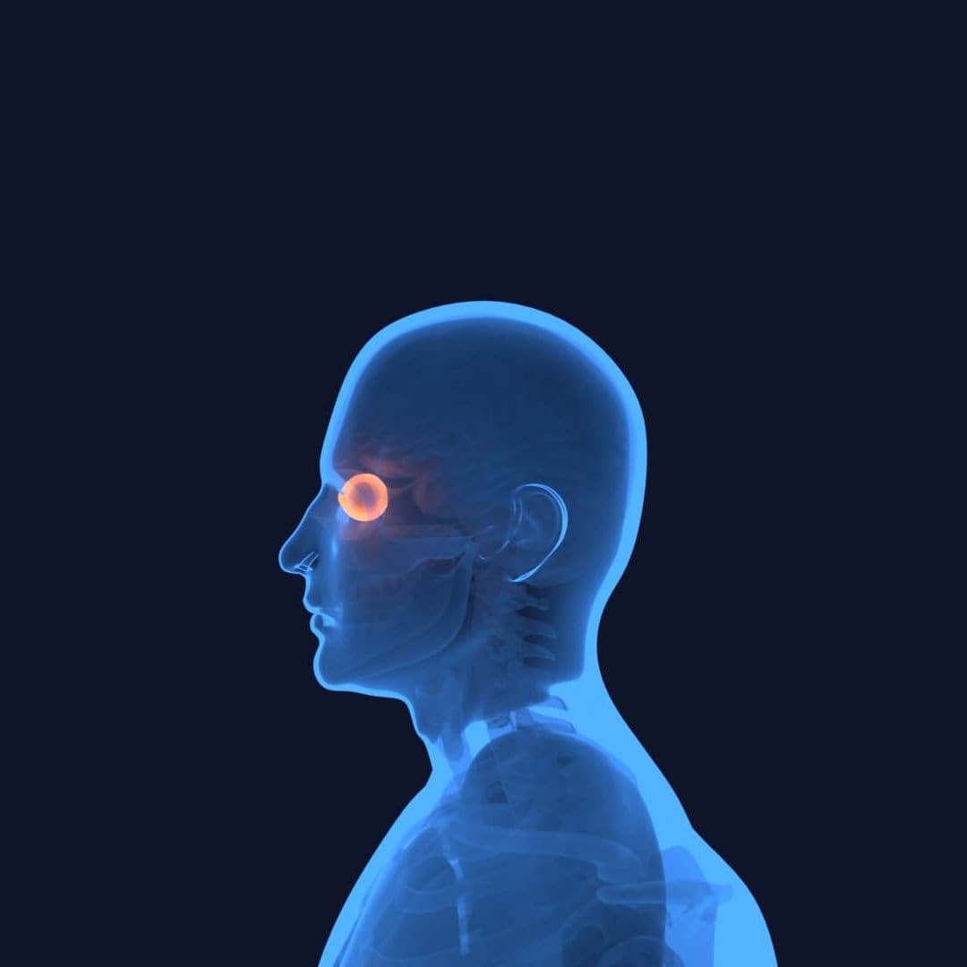 Training software - DataArt GmbH - surgery / eye