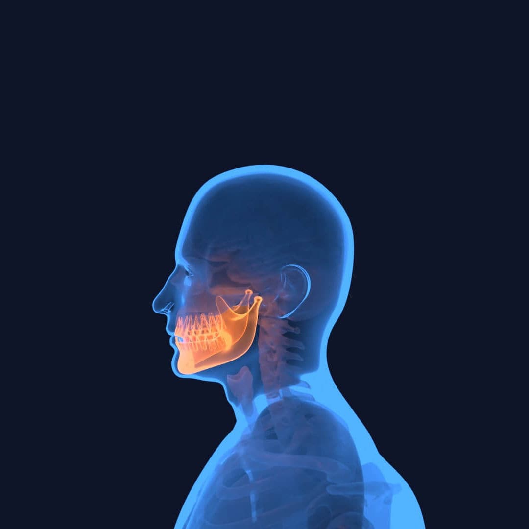 Visualization software - DataArt GmbH - planning / treatment / dental