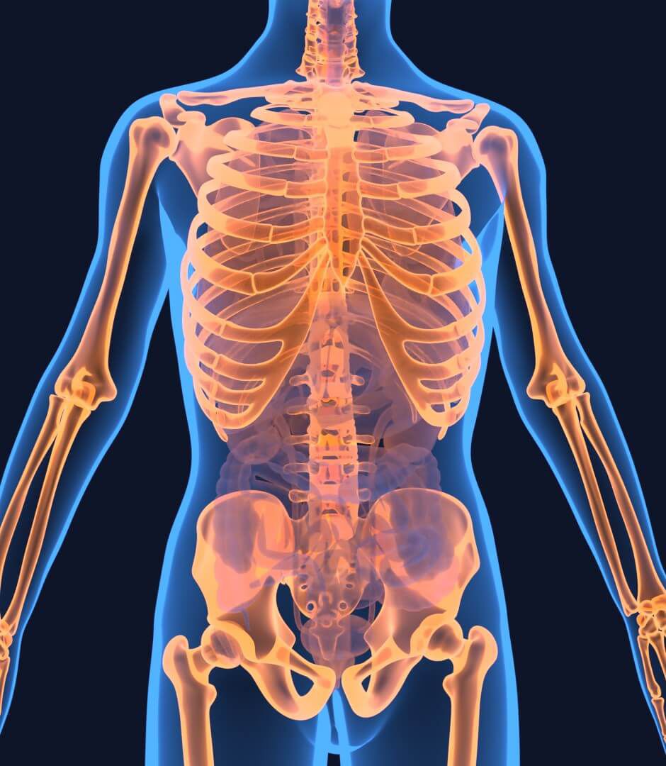 Scheduling software - DataArt GmbH - training / education / tracking