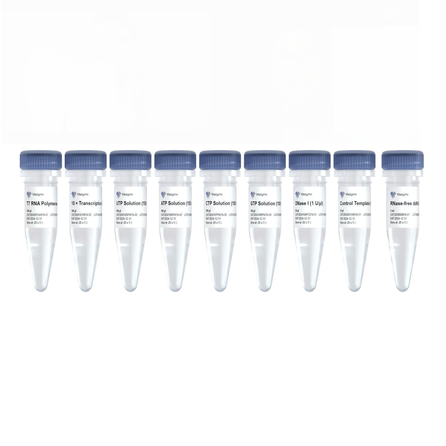 Solution reagent kit - T7 - Nanjing Vazyme Medical Technology Co.,Ltd ...