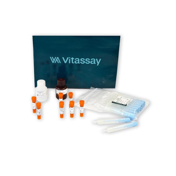 Gastrointestinal infection test kit - VITASSAY HEALTHCARE S.L. - for ...