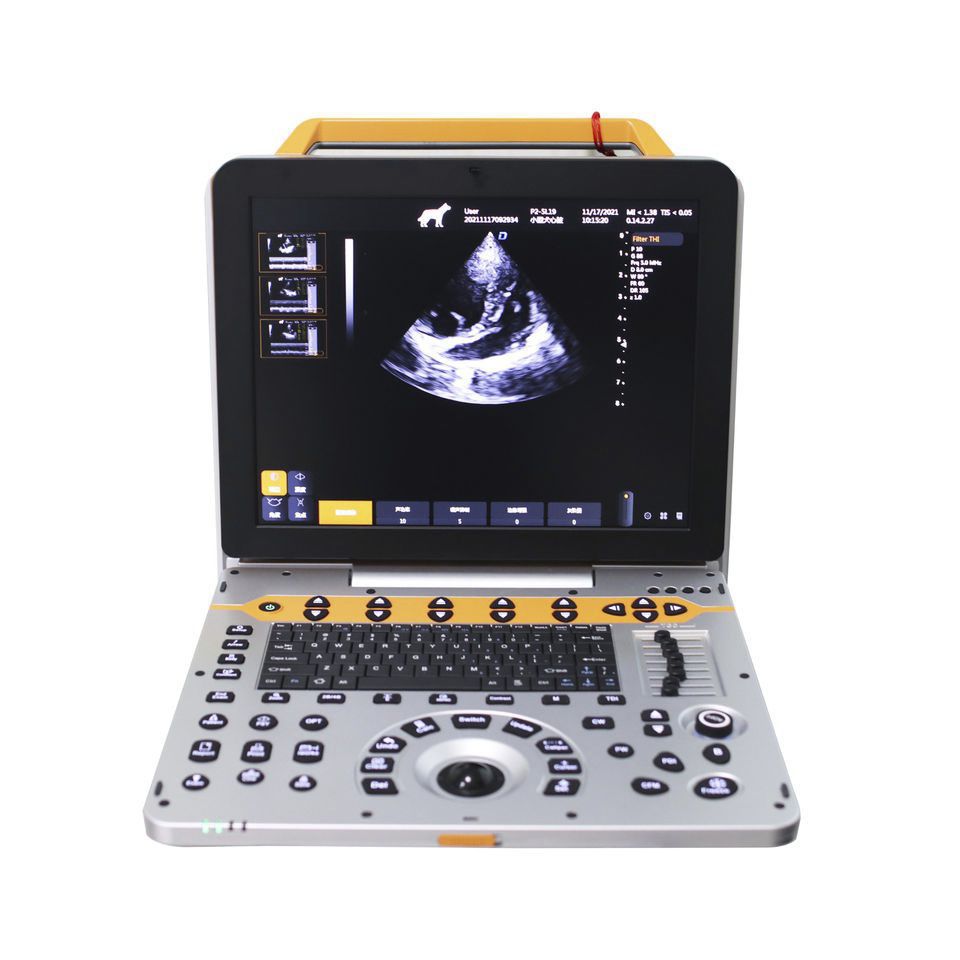 Portable veterinary ultrasound system - G60V - Beijing iTrason ...