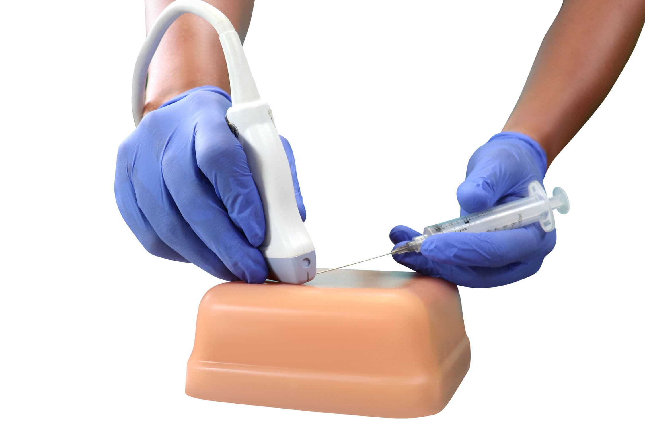 Training simulator - VH300 - HUMIMIC - vascular access / for ultrasound ...