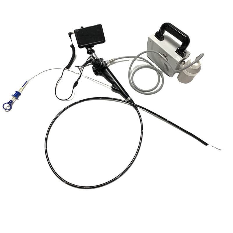 Video veterinary gastroscope - Jiangsu Ruitian Medical Technology - for ...
