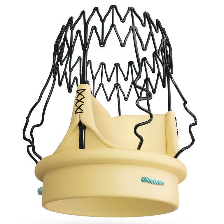 Aortic valve bioprosthesis - PERCEVAL™ PLUS - Corcym - bovine tissue ...