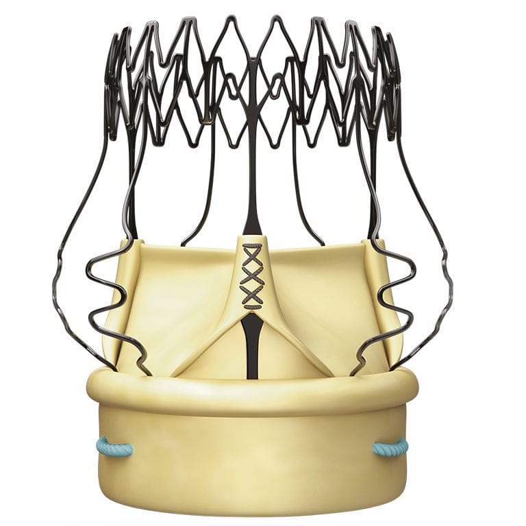 Aortic valve bioprosthesis - PERCEVAL™ - Corcym - bovine tissue ...