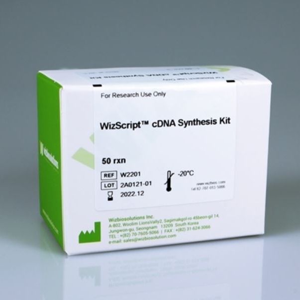 CDNA synthesis reagent kit - WizScript™ - Wizbiosolutions Inc. - dNTP ...