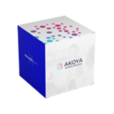 Staining solution reagent - 7000008 - Akoya Biosciences - buffer ...