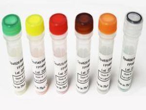 Solution reagent kit - Opal™ - Akoya Biosciences - antibody / stain ...
