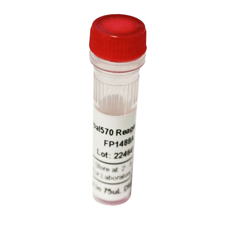 Solution reagent kit - OPAL 570 - Akoya Biosciences - antibody / stain ...