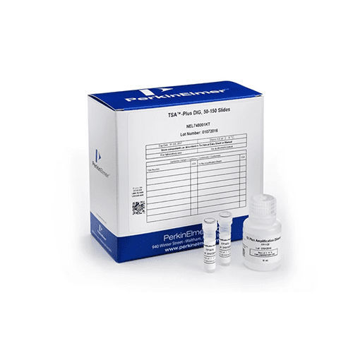 Research detection kit - TSA® Plus - Akoya Biosciences - immunofluorescence